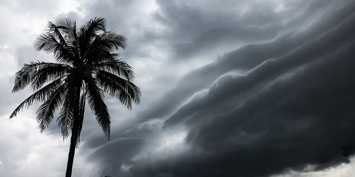 Climate Risk news, articles and publications
