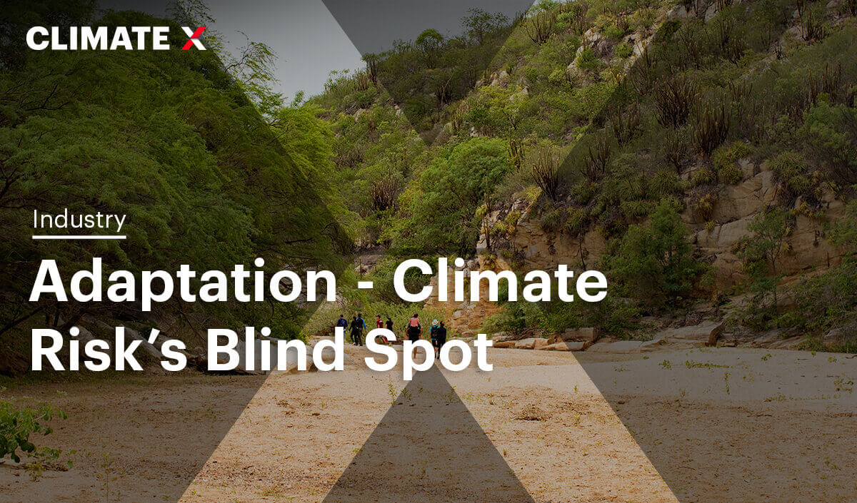 Adaptation - Climate Risk’s Blind Spot