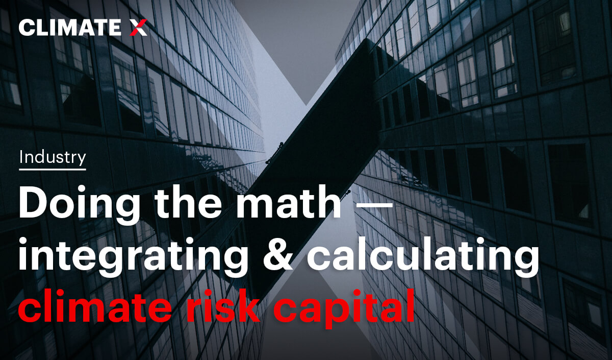 VP Commercial Strategy appointed by Climate X